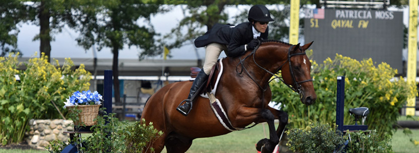 Moss Show Stables – Hunter, Jumper, Equitation | Westford, MA